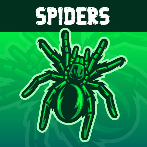 Spiders – CreepyCrawlys.com 🕷️